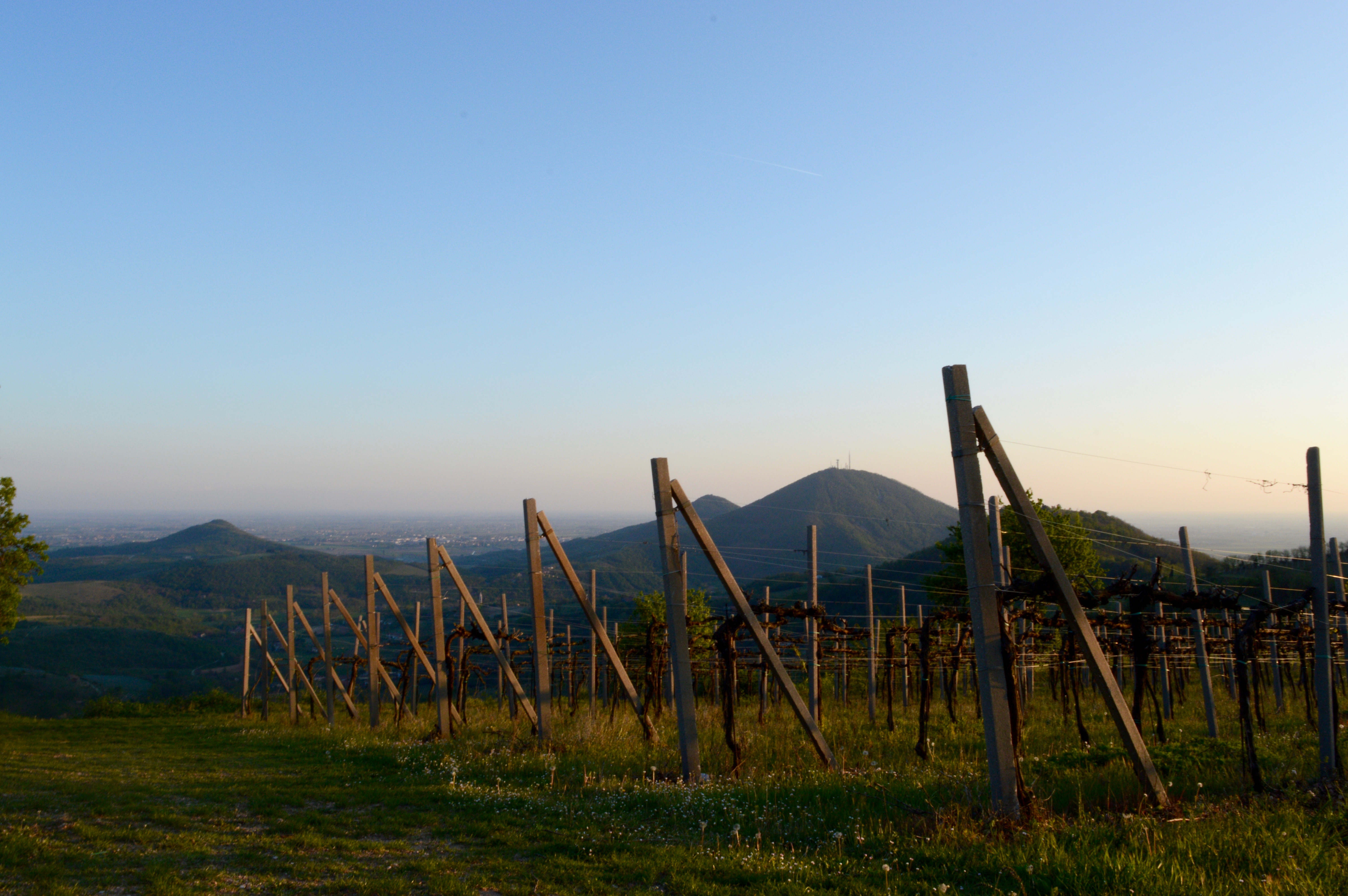 Sentiero Monte Fasolo (N° 12) | Mytrekkingtravel